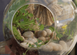 Creating a Rock Collection: Display Ideas for Tumbled Rocks ...